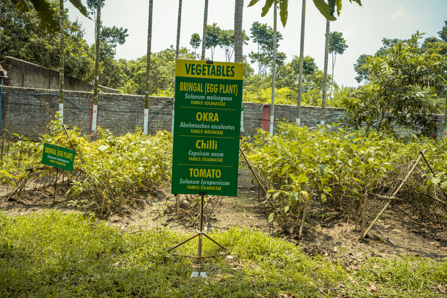 Brainware University : Farmland for Agri-research innovation