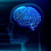 B.Sc Psychology : Course Details, Eligibility and Admission