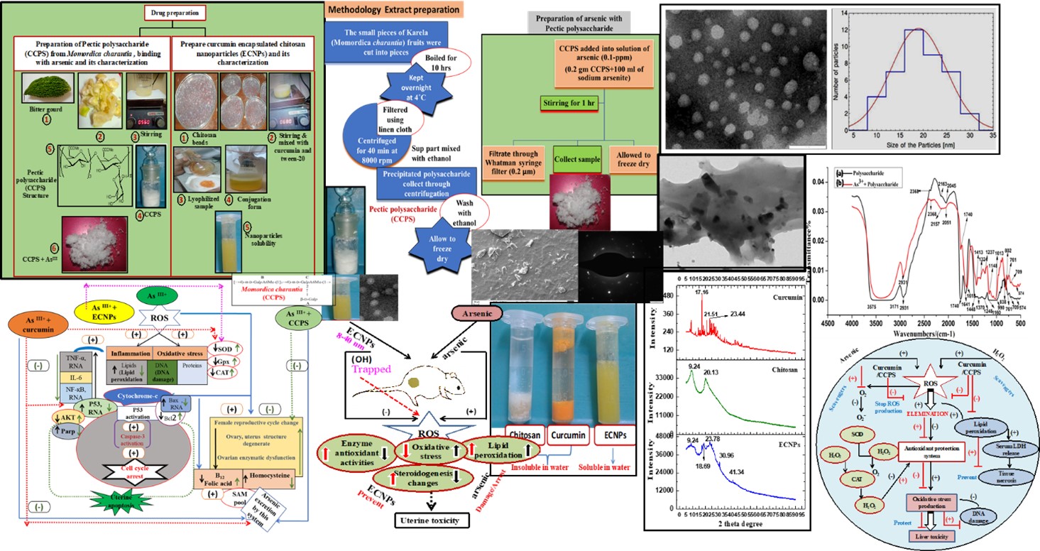 Metabolomics Toxicology